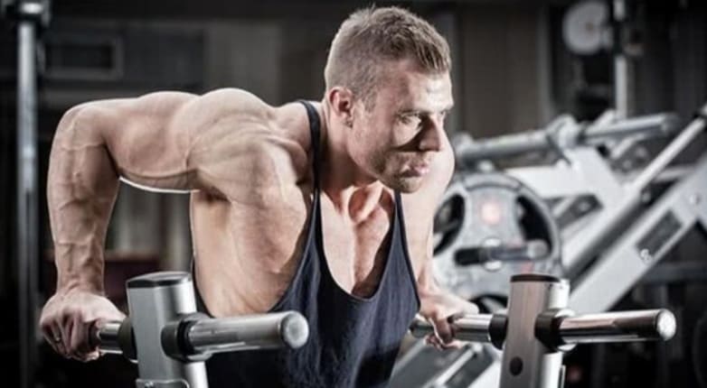 What Muscles Do Dips Work? How to Do Them?